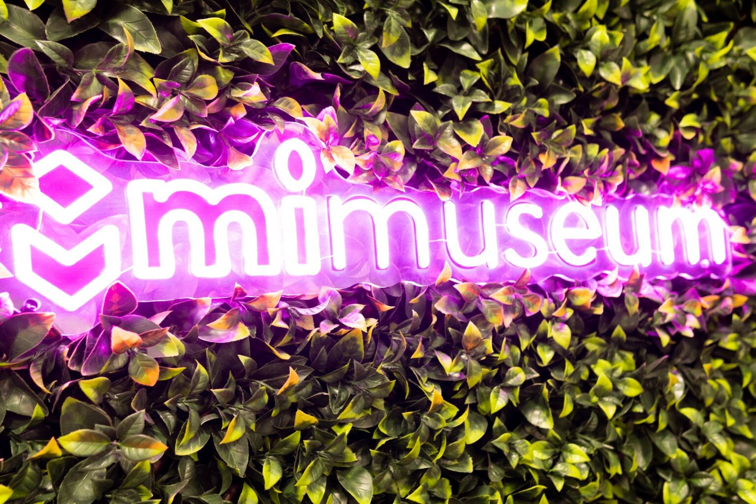 Mi Museum – Museum of Magic and Illusions