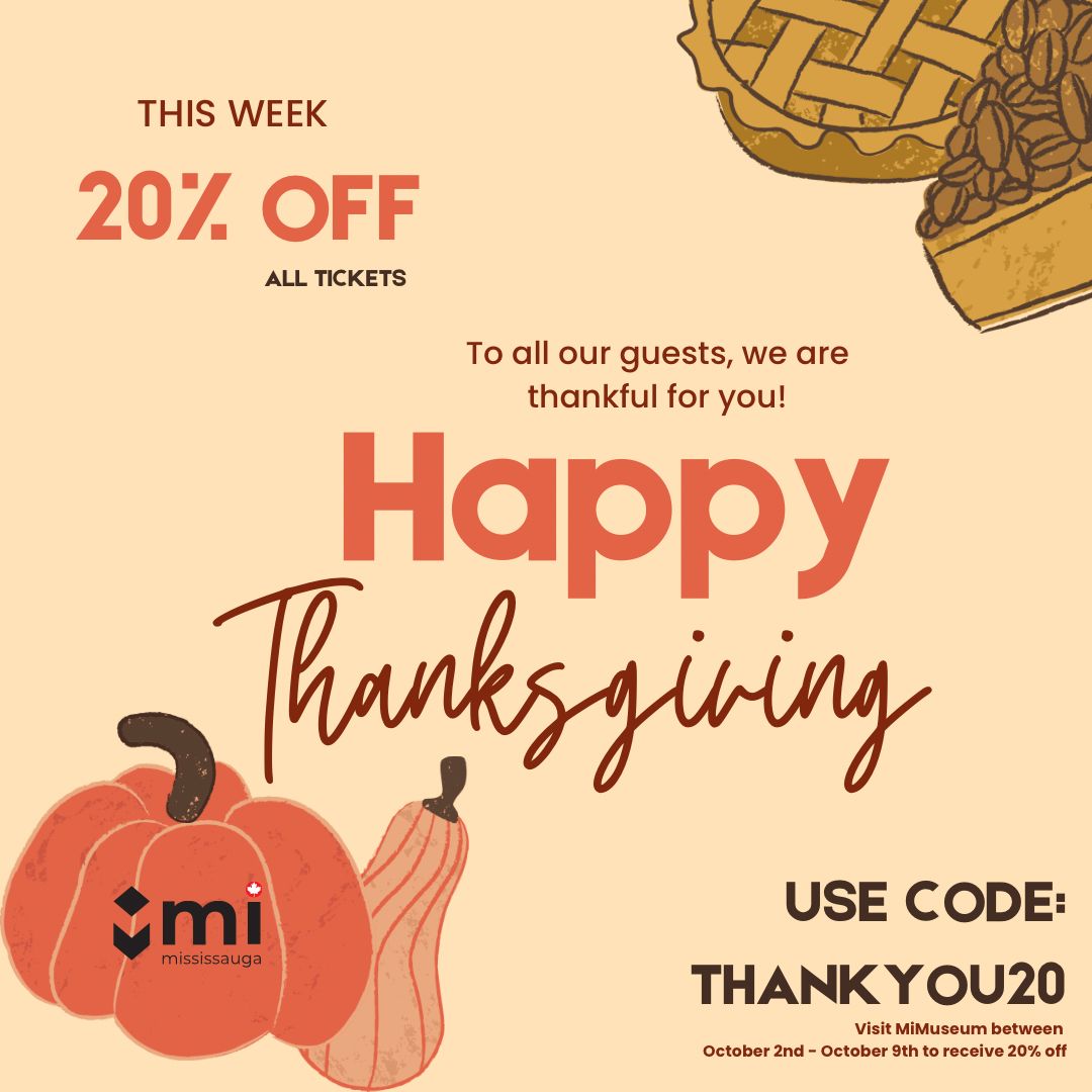 Mi Museum – Museum of Magic and Illusions